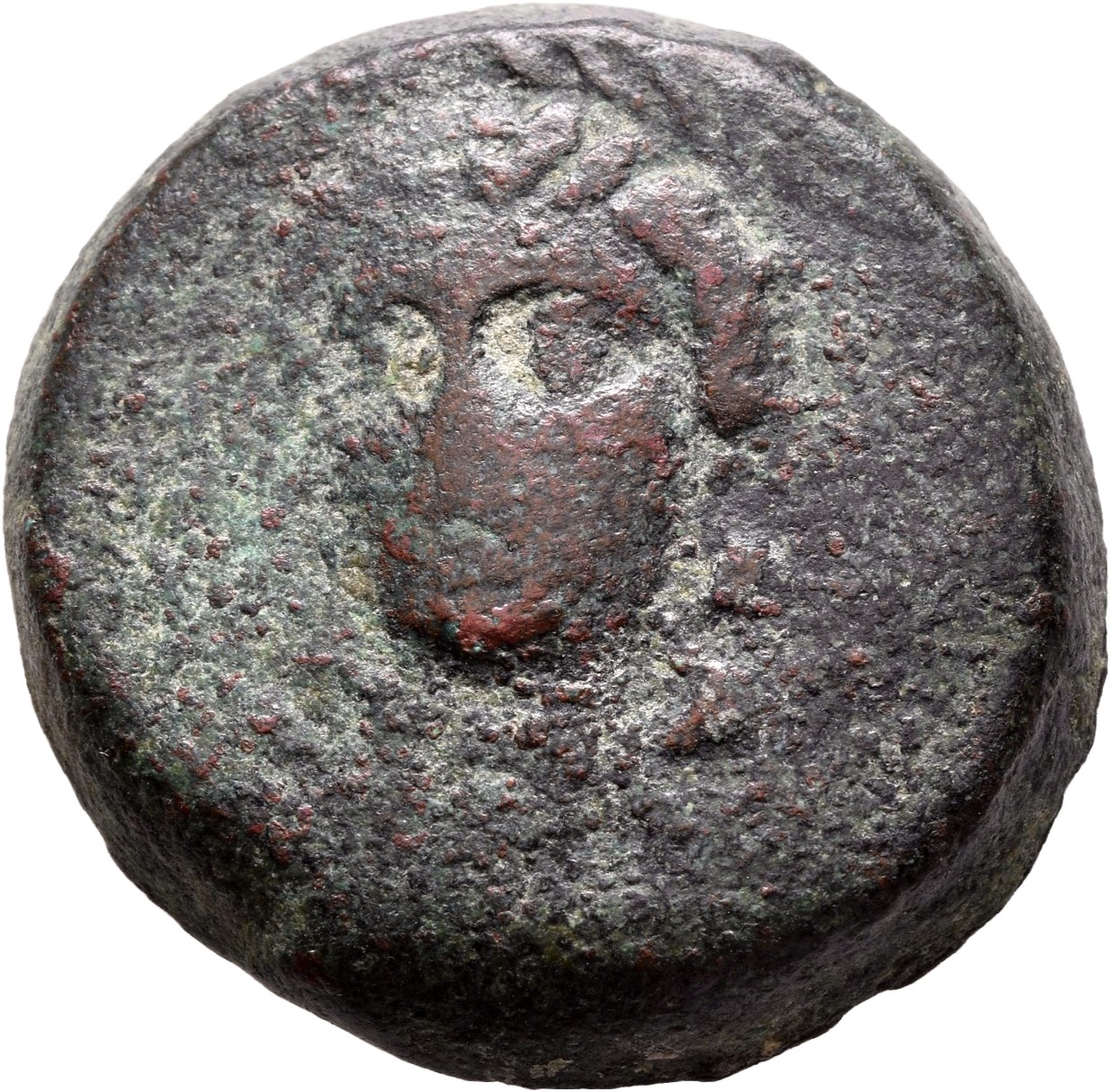 Seleucid Coins Online: Seleucid Coins (part 1) 1176